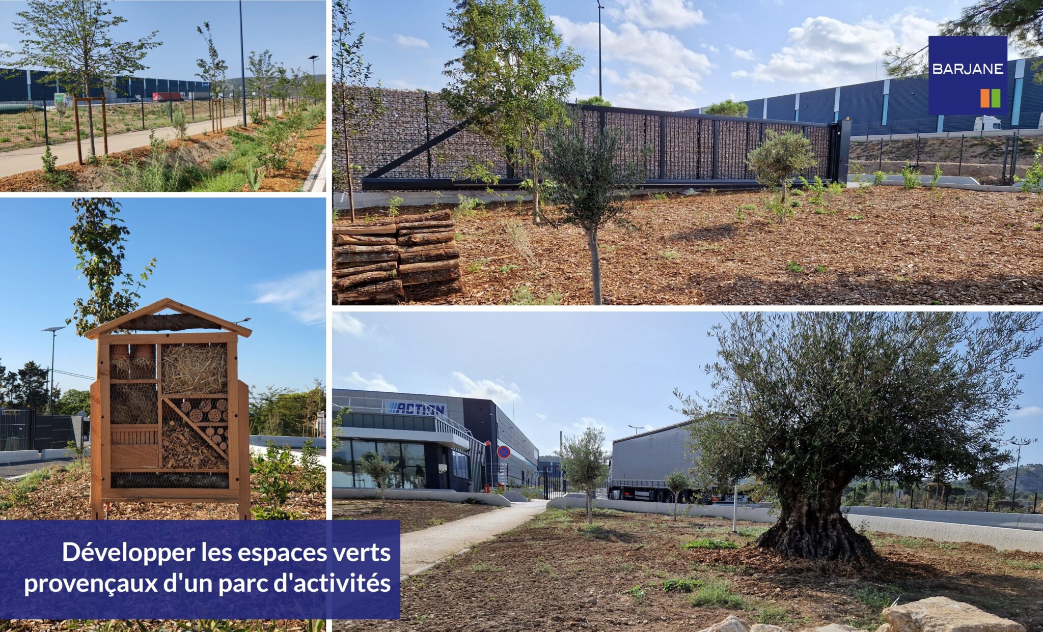 Développer les espaces verts provençaux d'un parc d'activités 🌿 - Barjane