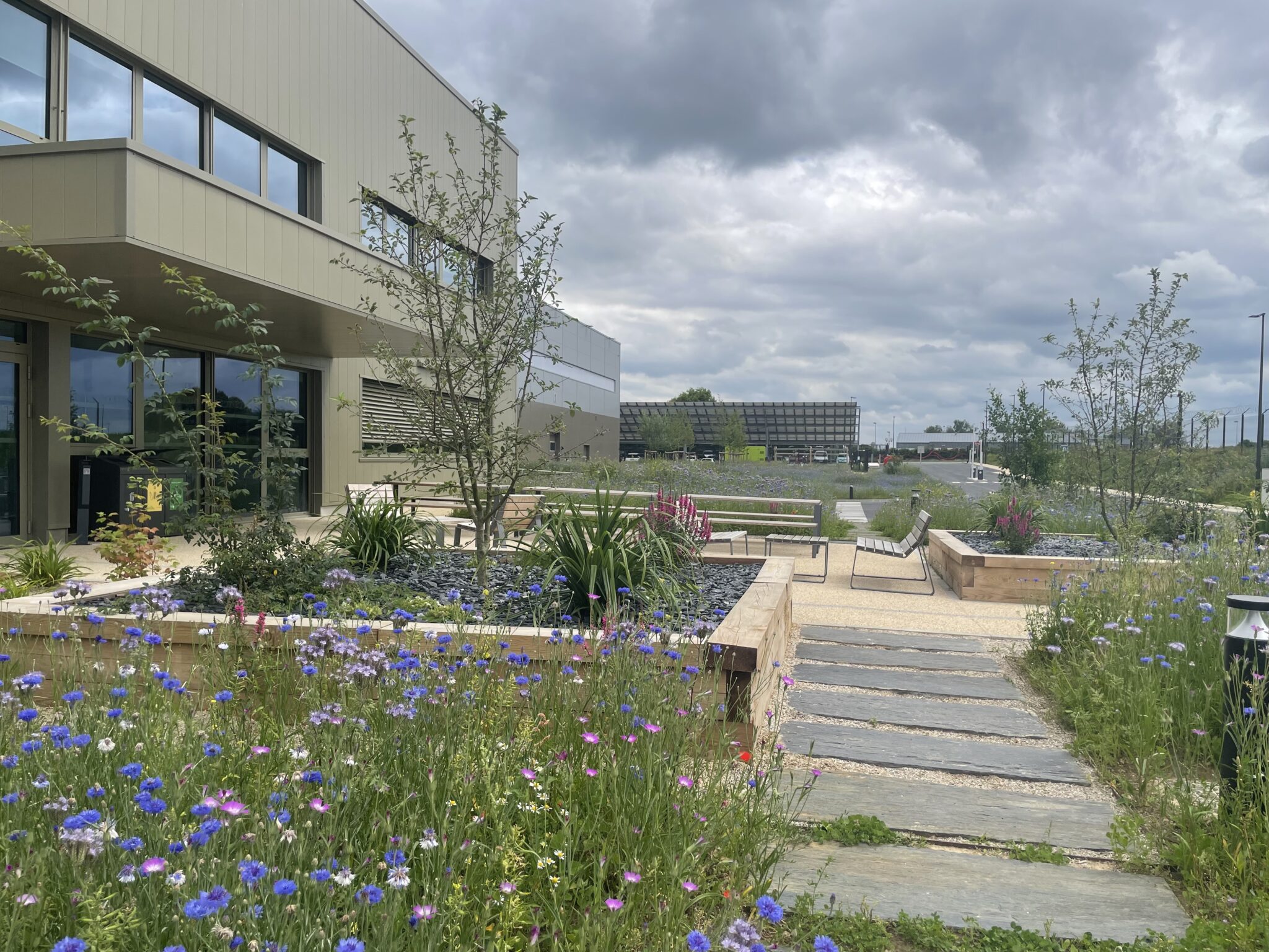 Barjane – Investisseur & Asset manager | Aménageur | Développeur ...